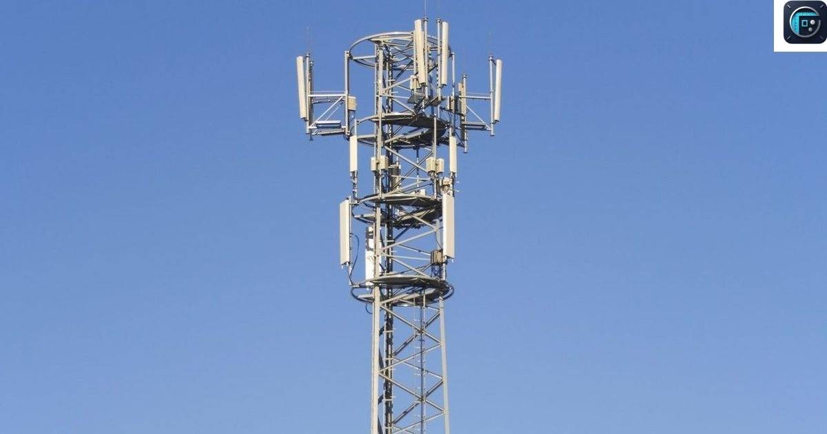 How Long Is 80 Feet And Common Things