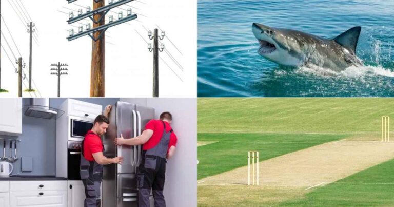 How Long Is 10 Meters And Everyday Examples