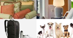 How Long Is 20 Inches? 15 Common Things That Are 20 Inches Long