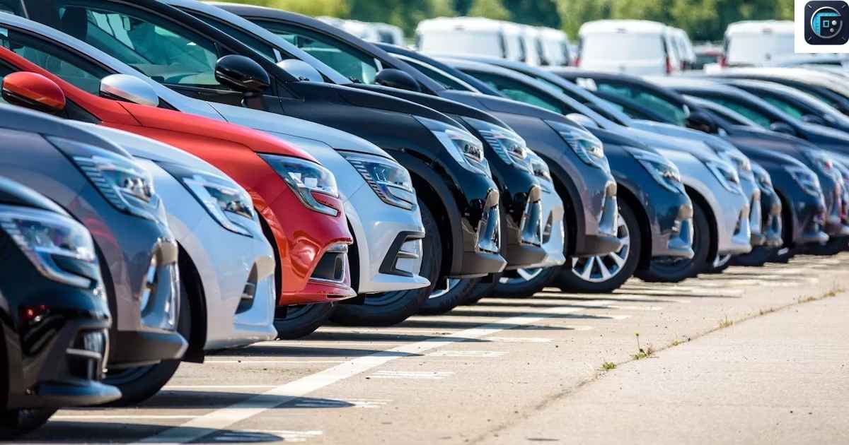 How Long Is 20 Meters And Common Things