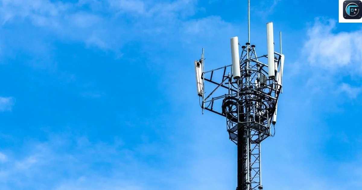 How Long Is 50 Feet And Everyday Examples