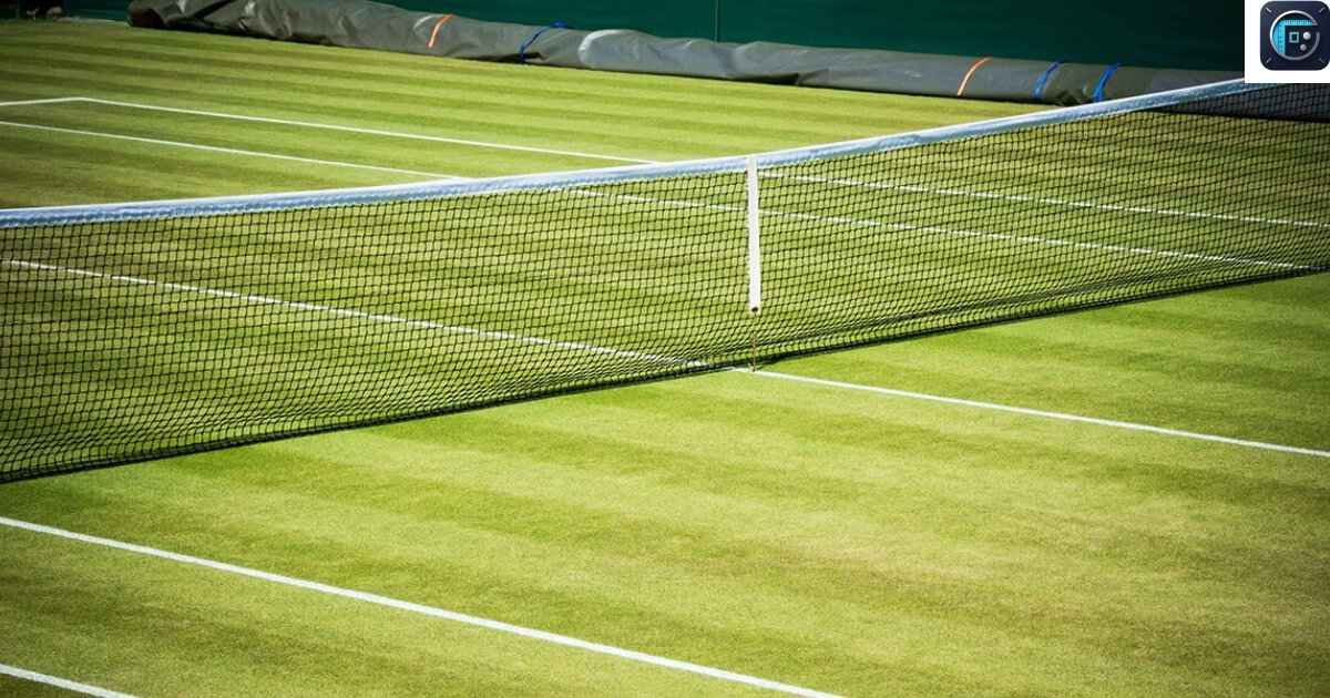 How Long Is 20 Meters And Common Things