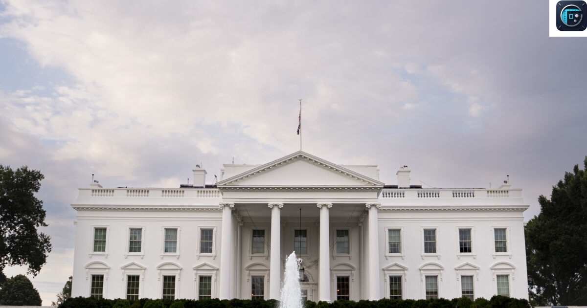 How Long Is 80 Feet And Common Things