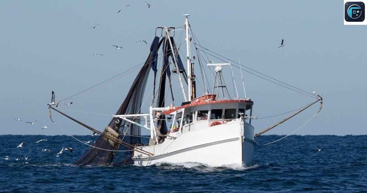 How Long Is 40 Ft And Common Things