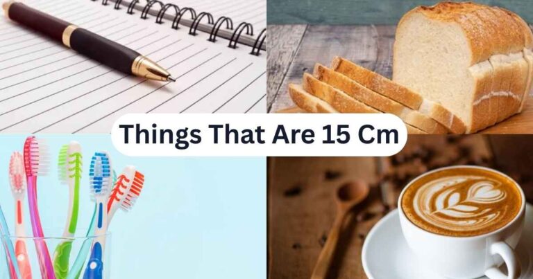 How Big Is 15 Cm And Common Things