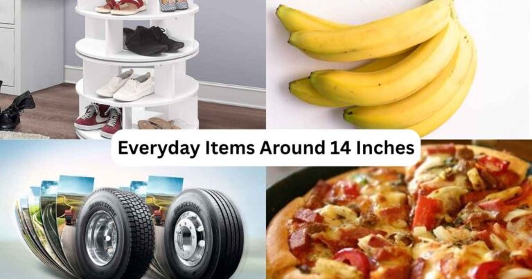 How Big Is 100 Square Feet Common Things