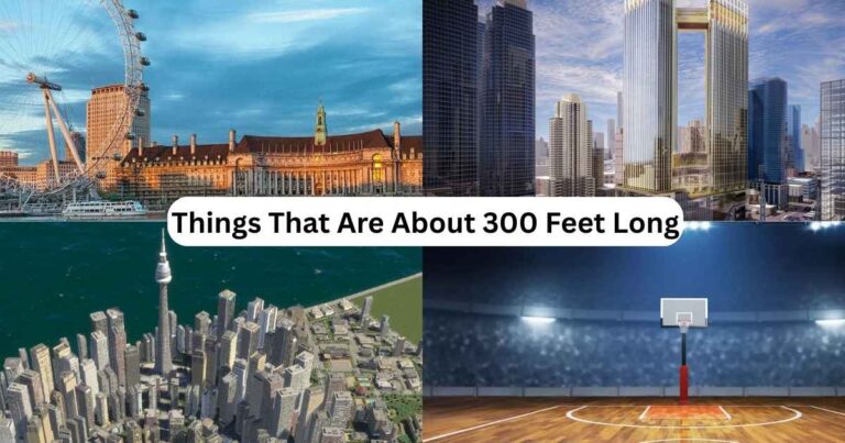 How Far Is 300 Feet And Common Things