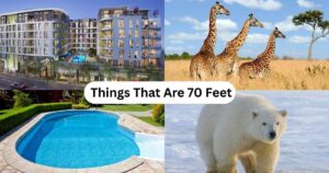 How Long Is 70 Feet And Common Things
