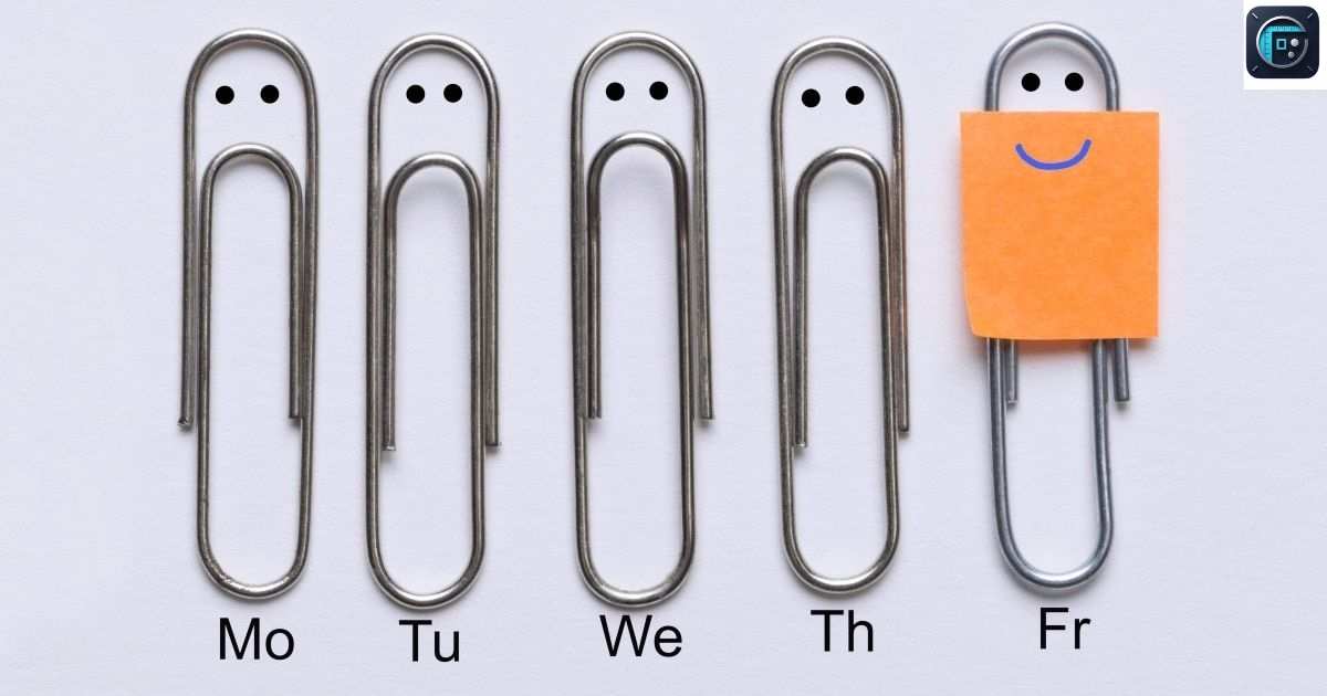 1/4 Inch Long And Everyday Examples