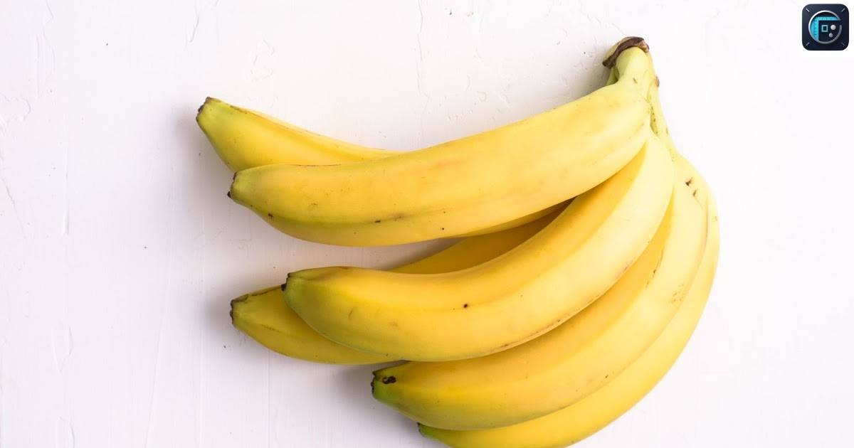 How Big Is 14 Inches? A Visual Guide With Everyday Examples