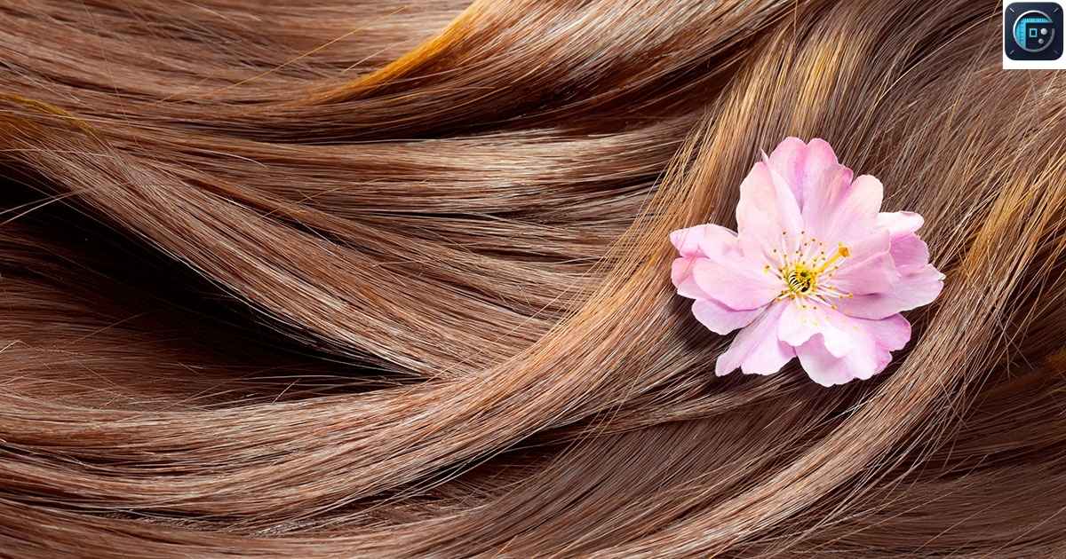 How Long Is 1 Millimeter? Real-Life Examples of 1mm Objects