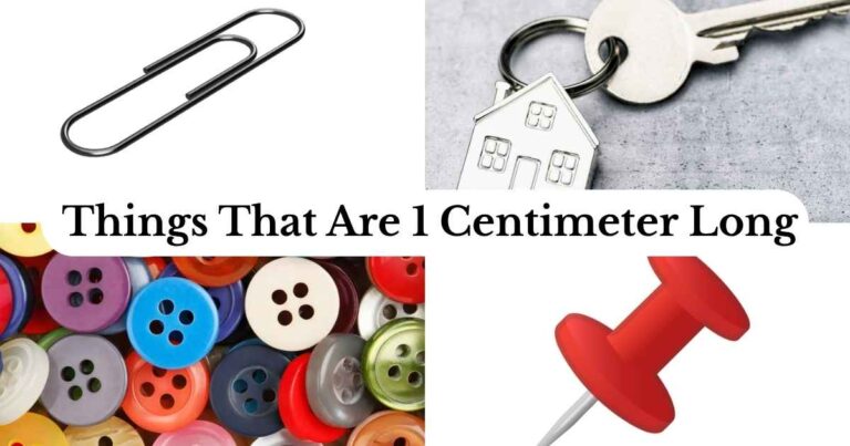 How Big Is 1 Centimeter And Common Things