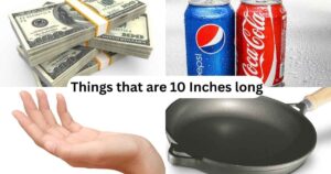 How Long Is 10 Inches And Everyday Examples
