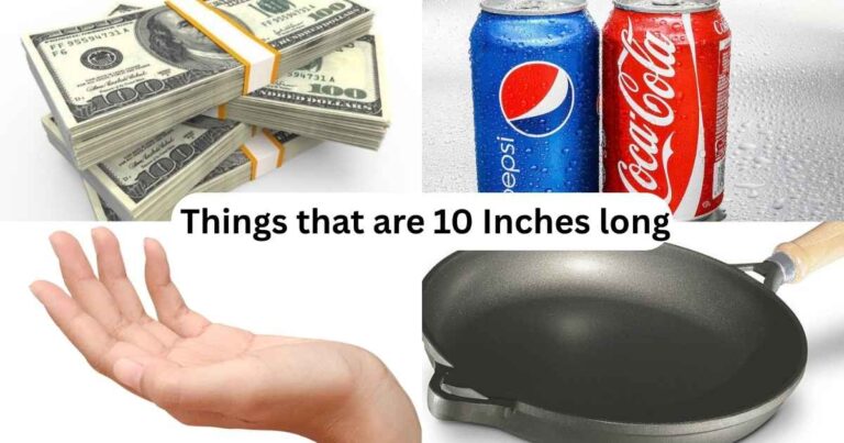 How Long Is 10 Inches And Everyday Examples