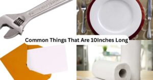 How Big Is 10 Inches And Everyday Examples