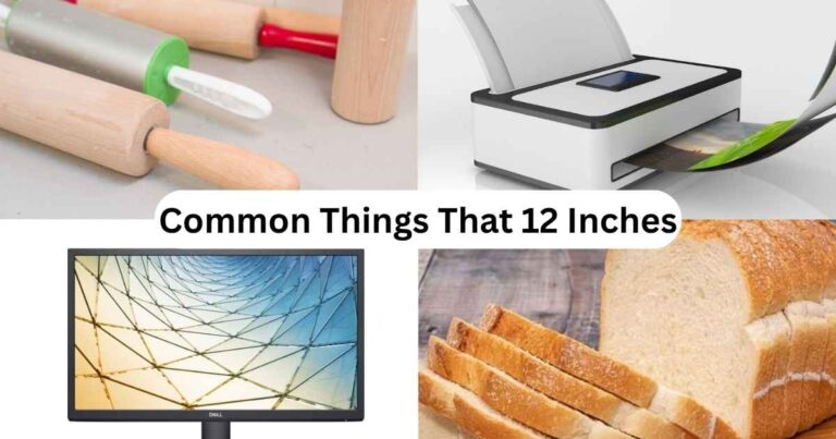 How Long is 12 Inches And Common Things
