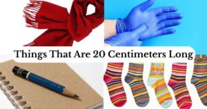How Big Is 20 Centimeters And Common Things