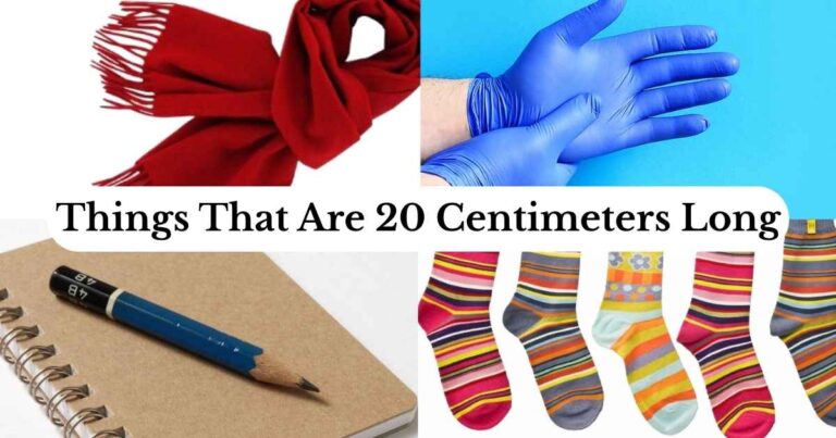How Big Is 20 Centimeters And Common Things