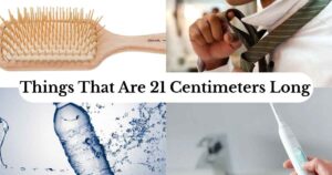 How Long Is 21 Centimeters? Compare With 12 Everyday Objects