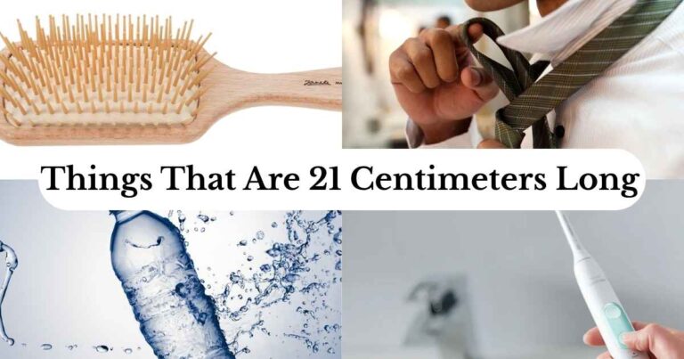 How Long Is 21 Centimeters And Everyday Examples
