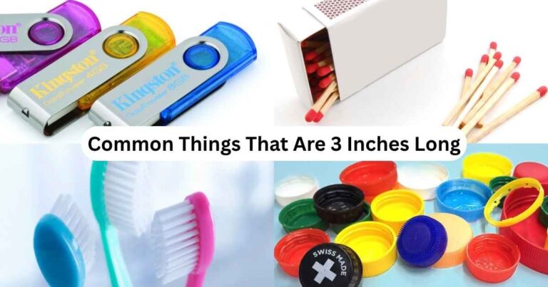 How Long Is 3 Inches? 15 Everyday Items That Are About 3 Inches Long