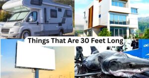 How Long Is 30 Feet? 13 Real-Life Examples to Visualize This Length