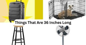 How Tall Is 36 Inches And Everyday Examples