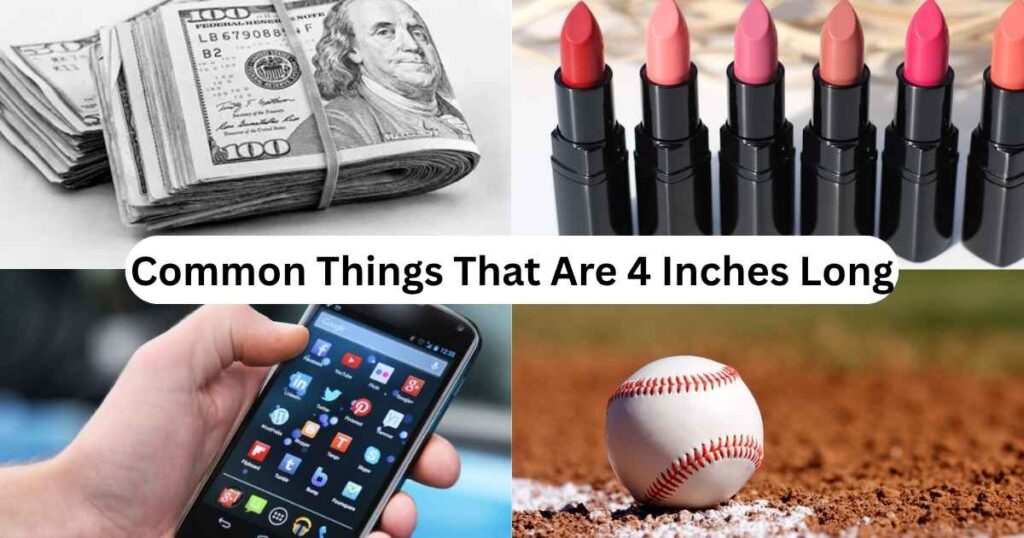 How Long Is 4 Inches? 15 Everyday Objects to Visualize 4 Inches Easily