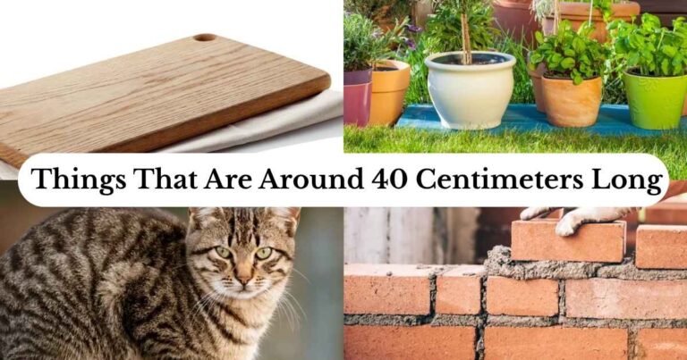 How Tall Is 40 Centimeters And Everyday Examples
