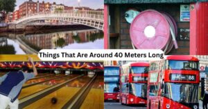 How Many Feet Is 40 Meters And Common Things