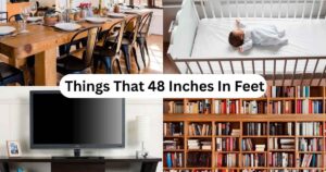 How Tall is 48 Inches in Feet And Common Things