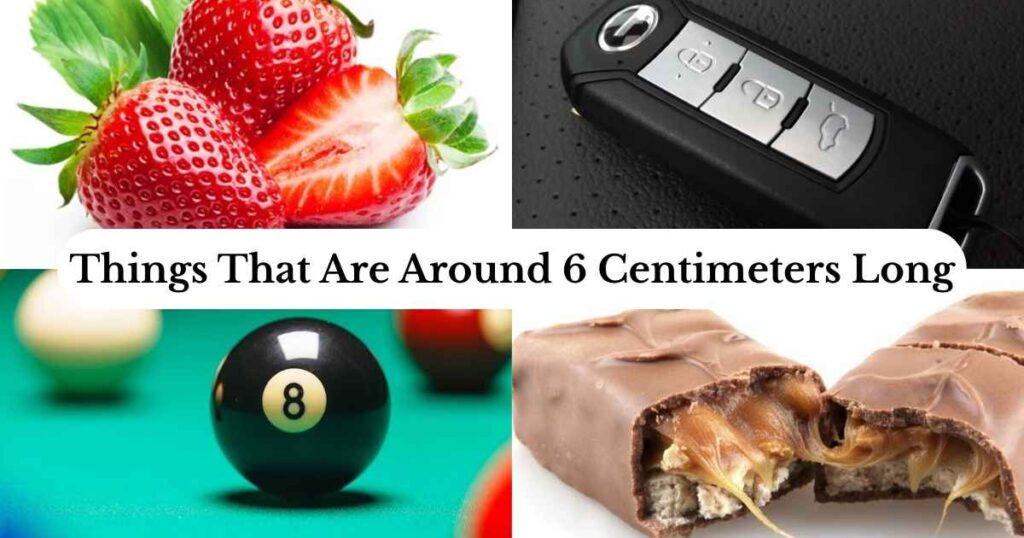 How Big Is 6 Centimeters And Common Things
