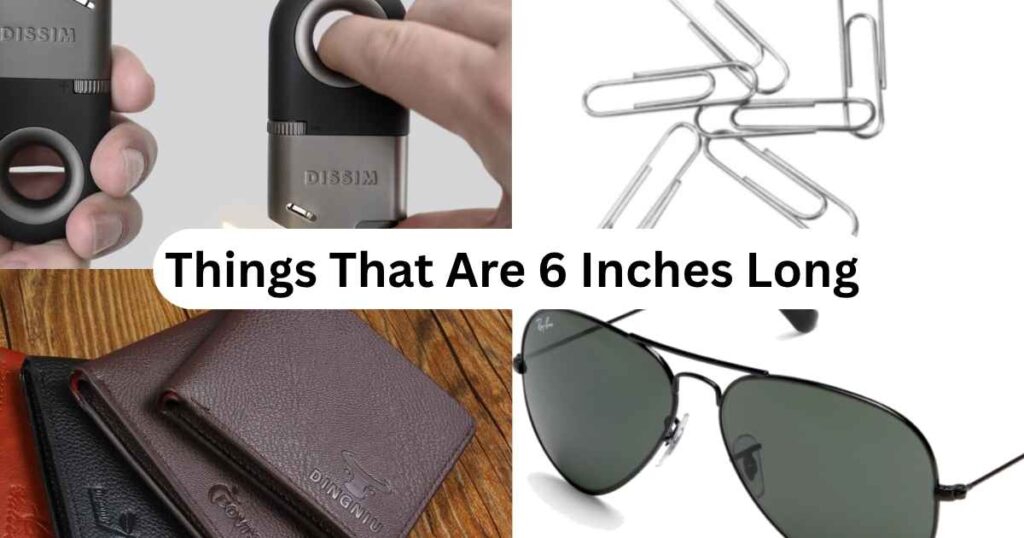 How Long Is 6 Inches And Everyday Examples