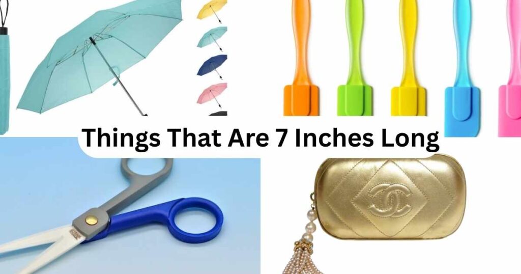 How Big Is 7 Inches And Everyday Examples