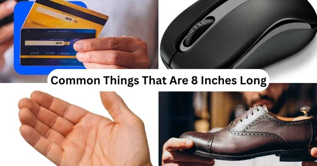 How Big Is 8 Inches And Everyday Examples