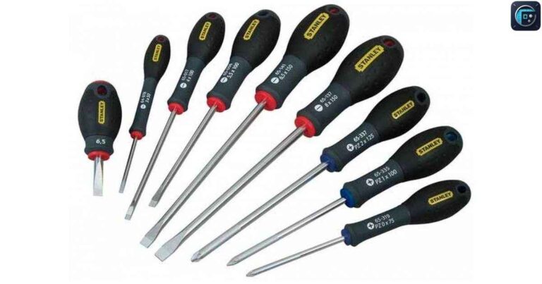 How Long Is 6 Inches And Everyday Examples