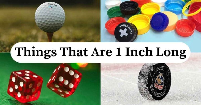 How Long Is 10 Inches And Everyday Examples