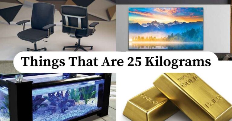 How Much Is 40 Kilograms And Common Things